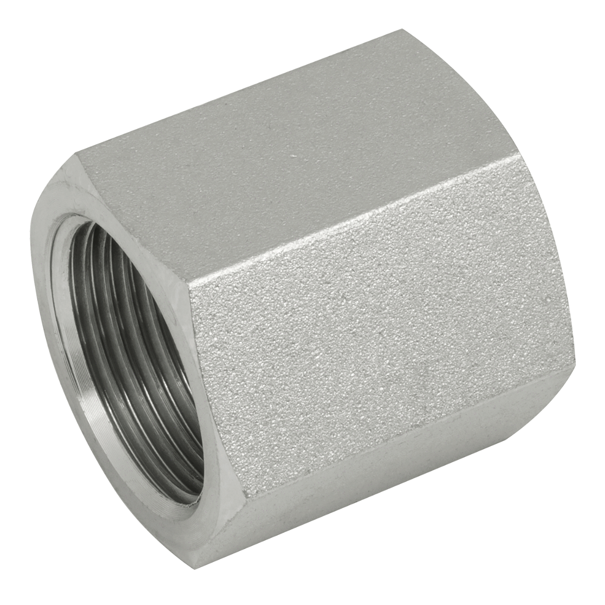 BSPP Fixed Female Equal Hexagon Socket – The Hosemaster